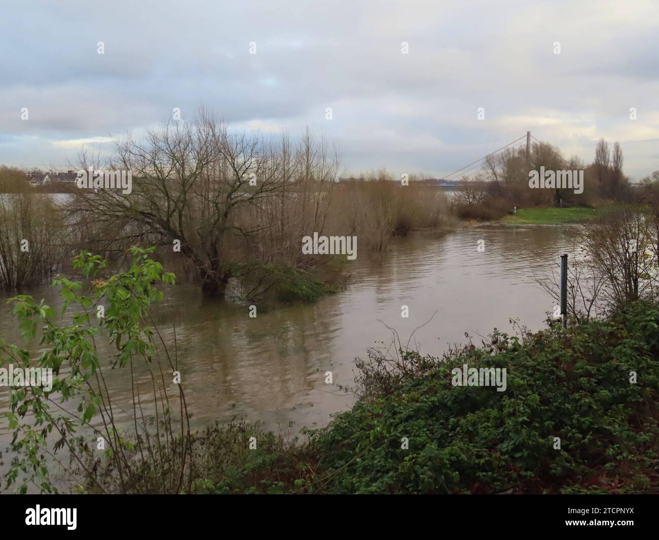 Vater Rhein einmal in Fahrt, kennt er kein Halten mehr Neuss ...