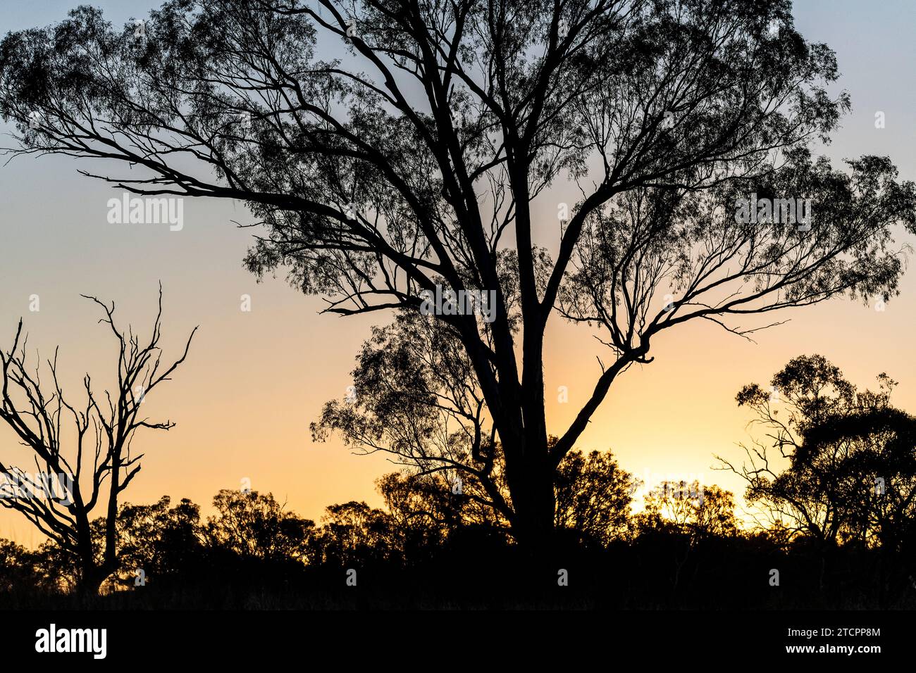 Dubbo outline hi-res stock photography and images - Alamy