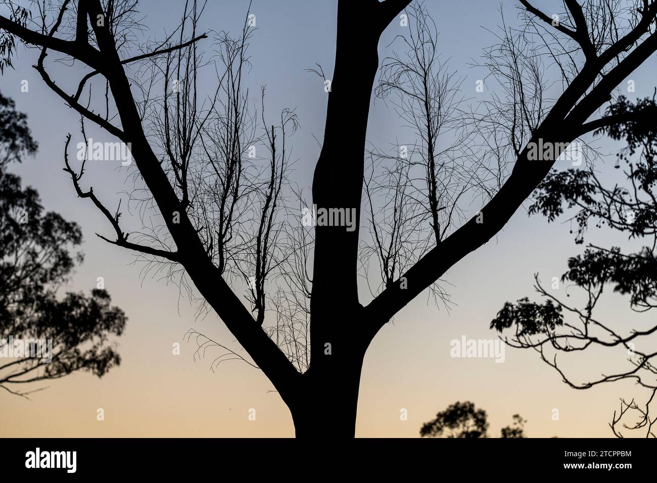 Dubbo outline hi-res stock photography and images - Alamy