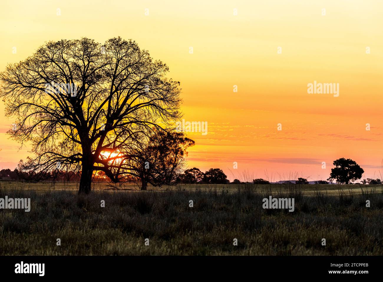 Dubbo outline hi-res stock photography and images - Alamy