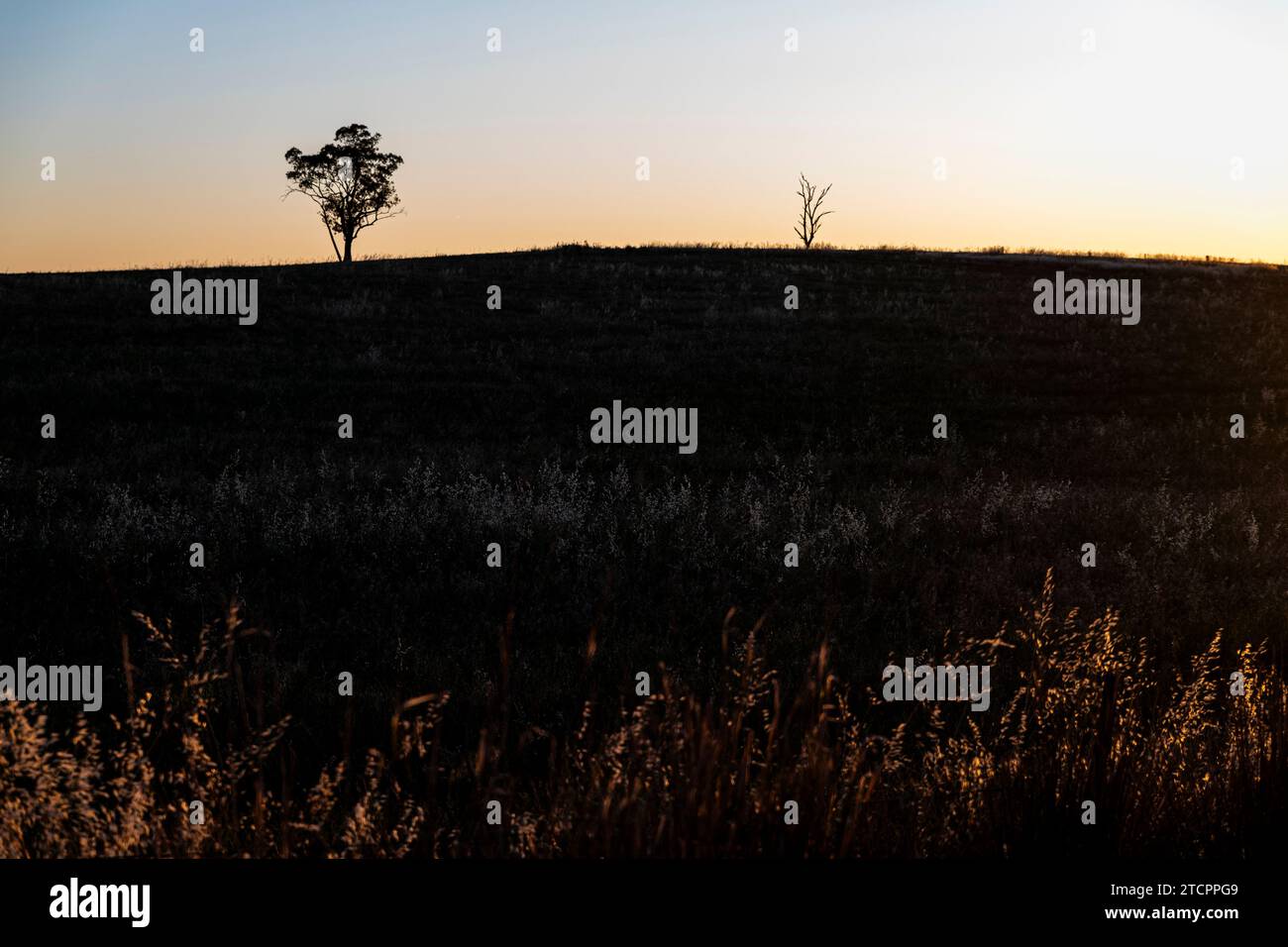 Dubbo to orange hi-res stock photography and images - Alamy