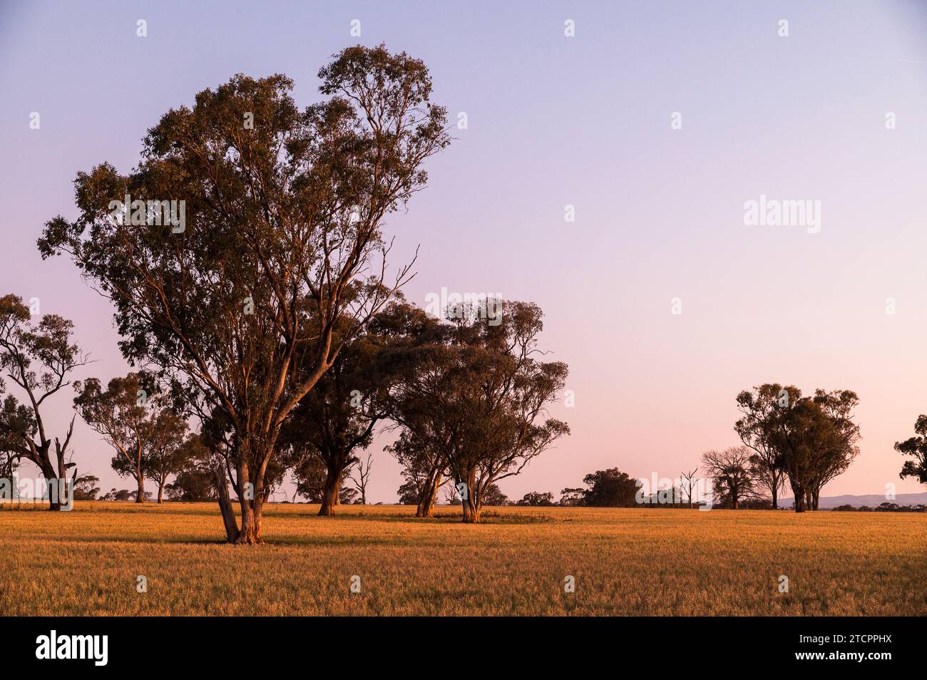 Dubbo outline hi-res stock photography and images - Alamy