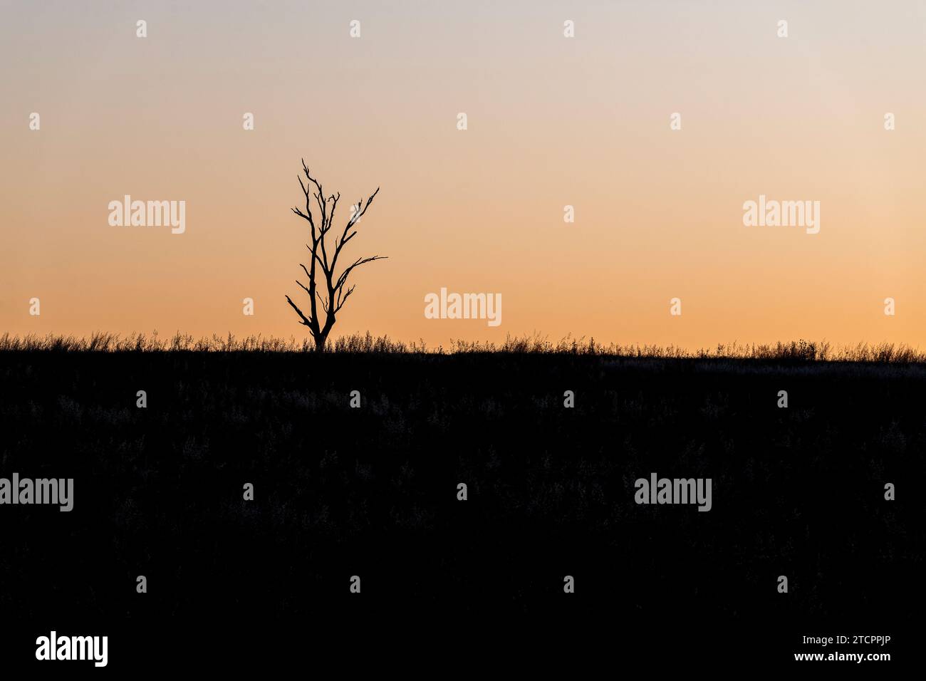 Dubbo to orange hi-res stock photography and images - Alamy