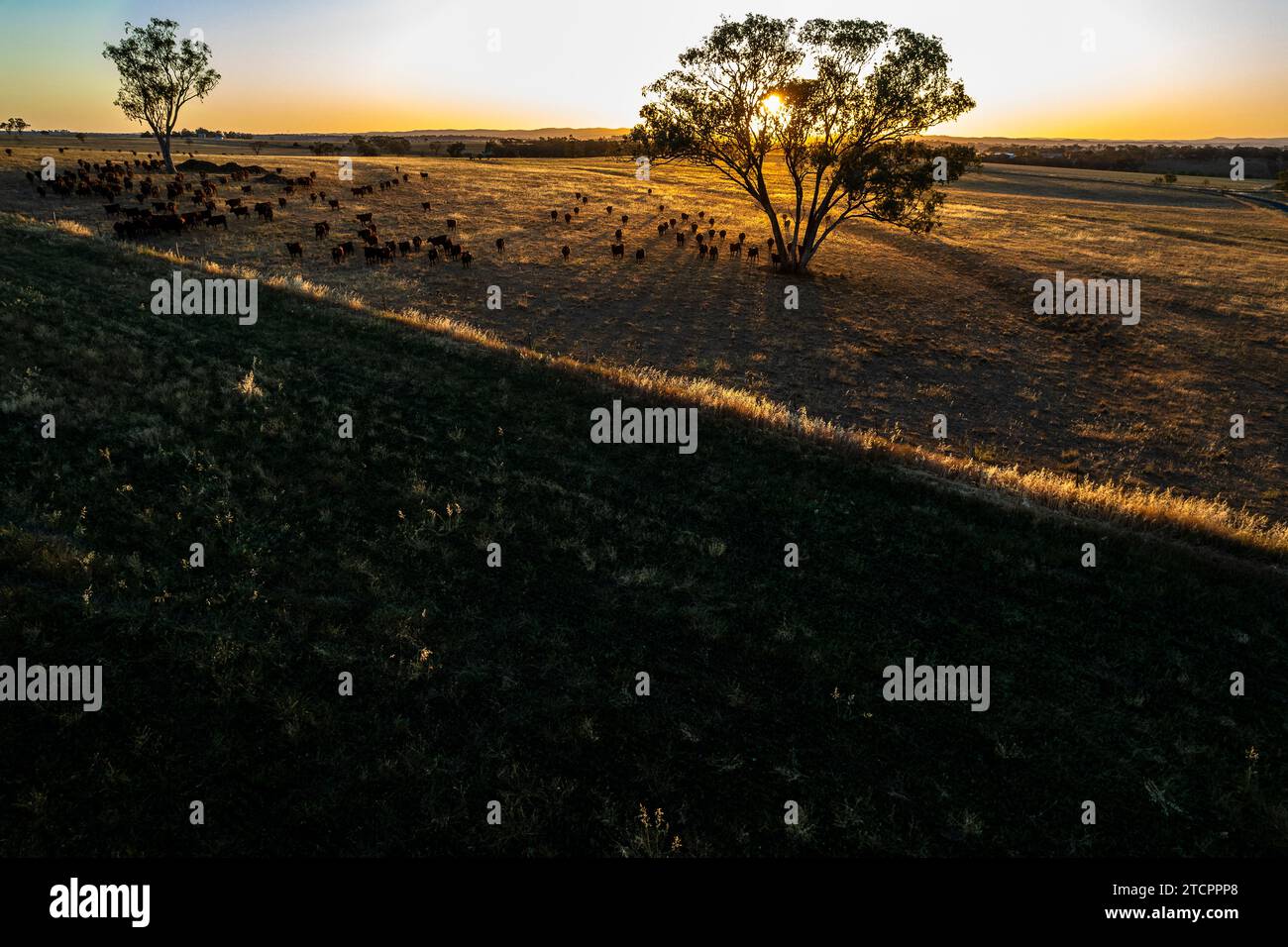 Dubbo outline hi-res stock photography and images - Alamy