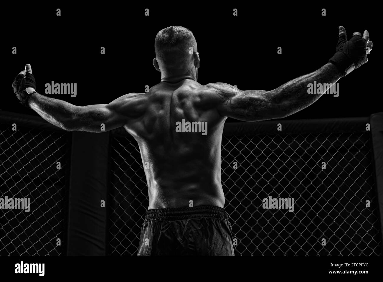 The dramatic black white image of the MMA fighter. Photography in a ...