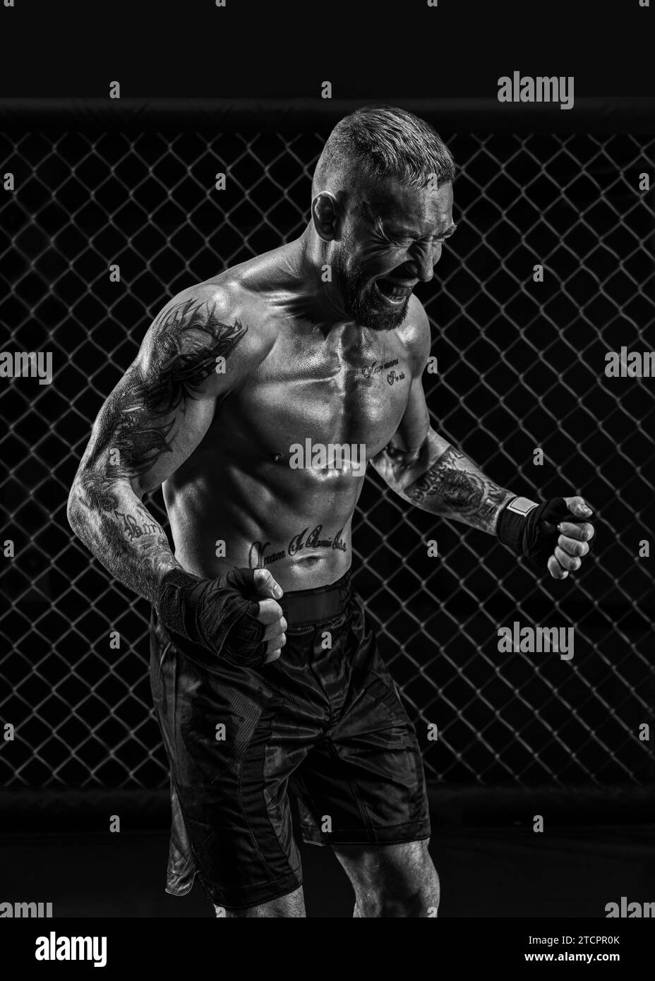 The dramatic black white image of the MMA fighter. Photography in a ...