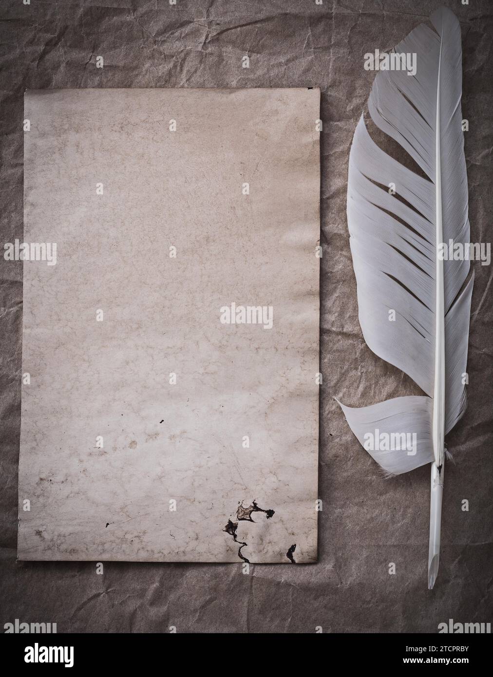Vintage clean sheet of feather on crumpled wrapping paper Stock Photo ...