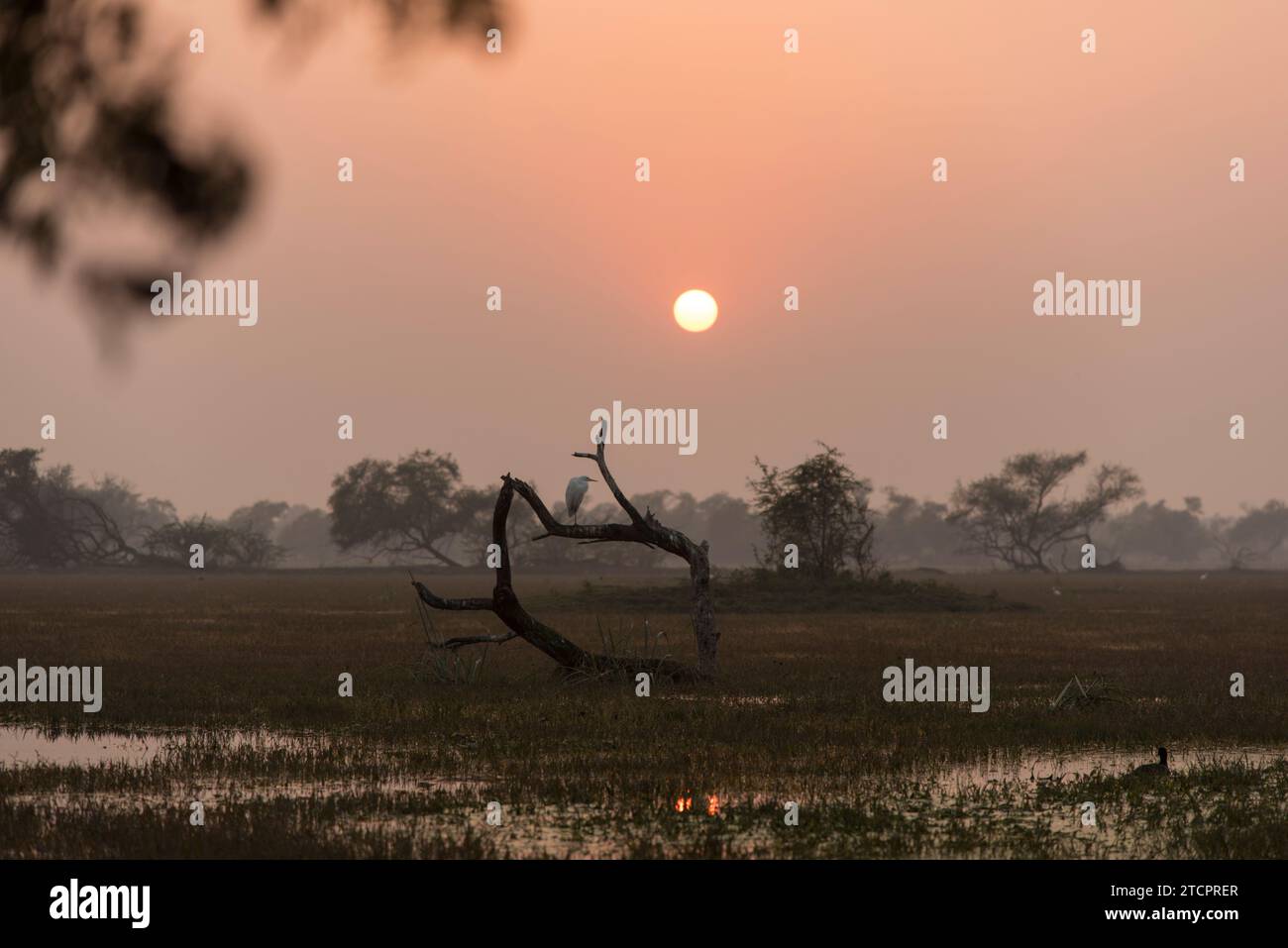 Wetlands sunset sunrise hi-res stock photography and images - Alamy