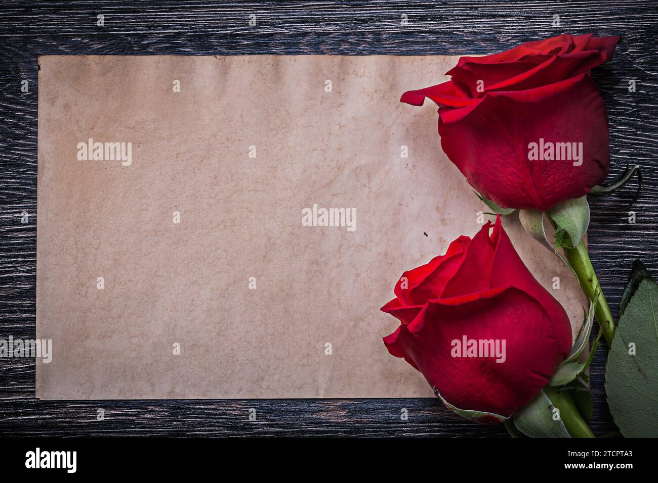 Blank paper red roses hi-res stock photography and images - Alamy