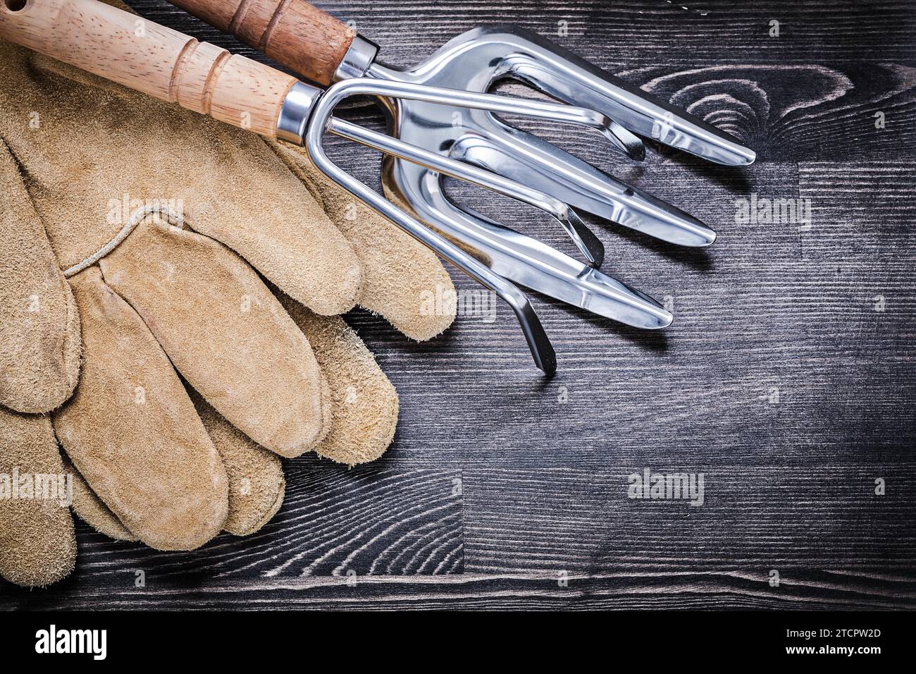 Garden trowel Fork Rake Leather Safety gloves Agriculture Concept Stock ...