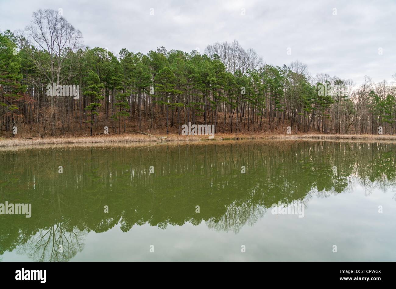 Lake Vesuvius Recreation Area at Wayne National Forest in Ohio Stock ...