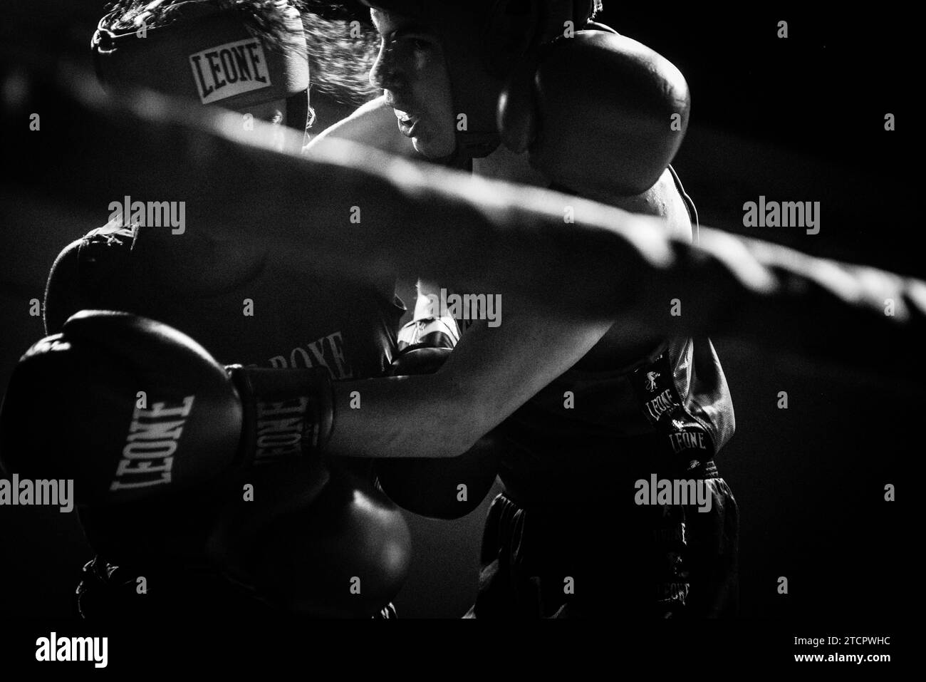 12 12 2023 Black and White Stock Photos & Images - Alamy