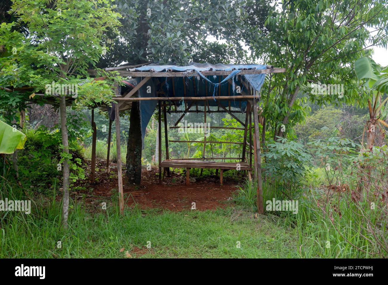 Wooden shack in the farmland with trees and blue sky background Stock ...