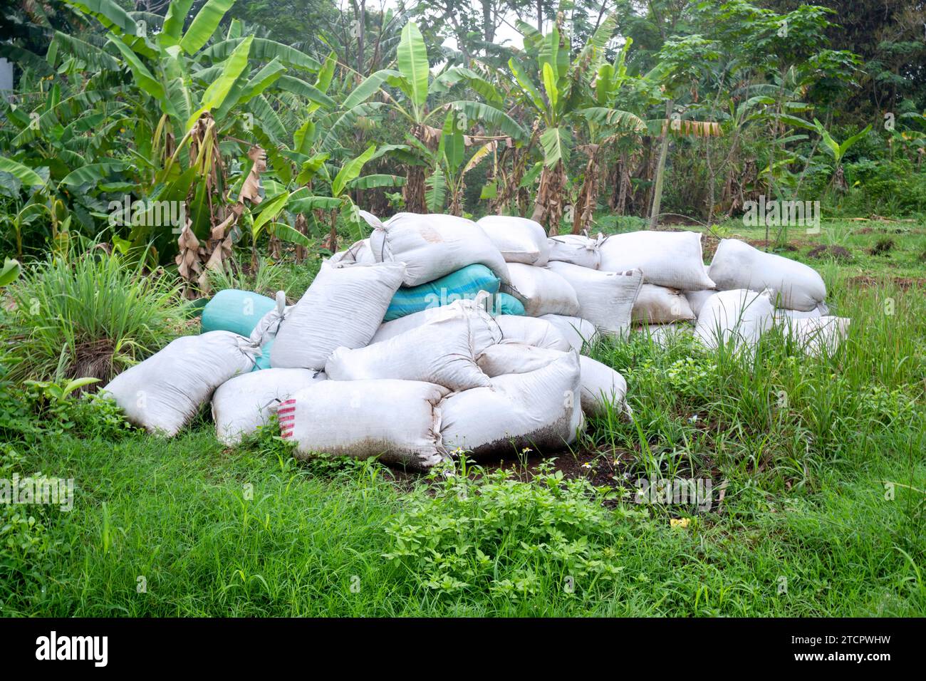Large white sacks hi-res stock photography and images - Alamy