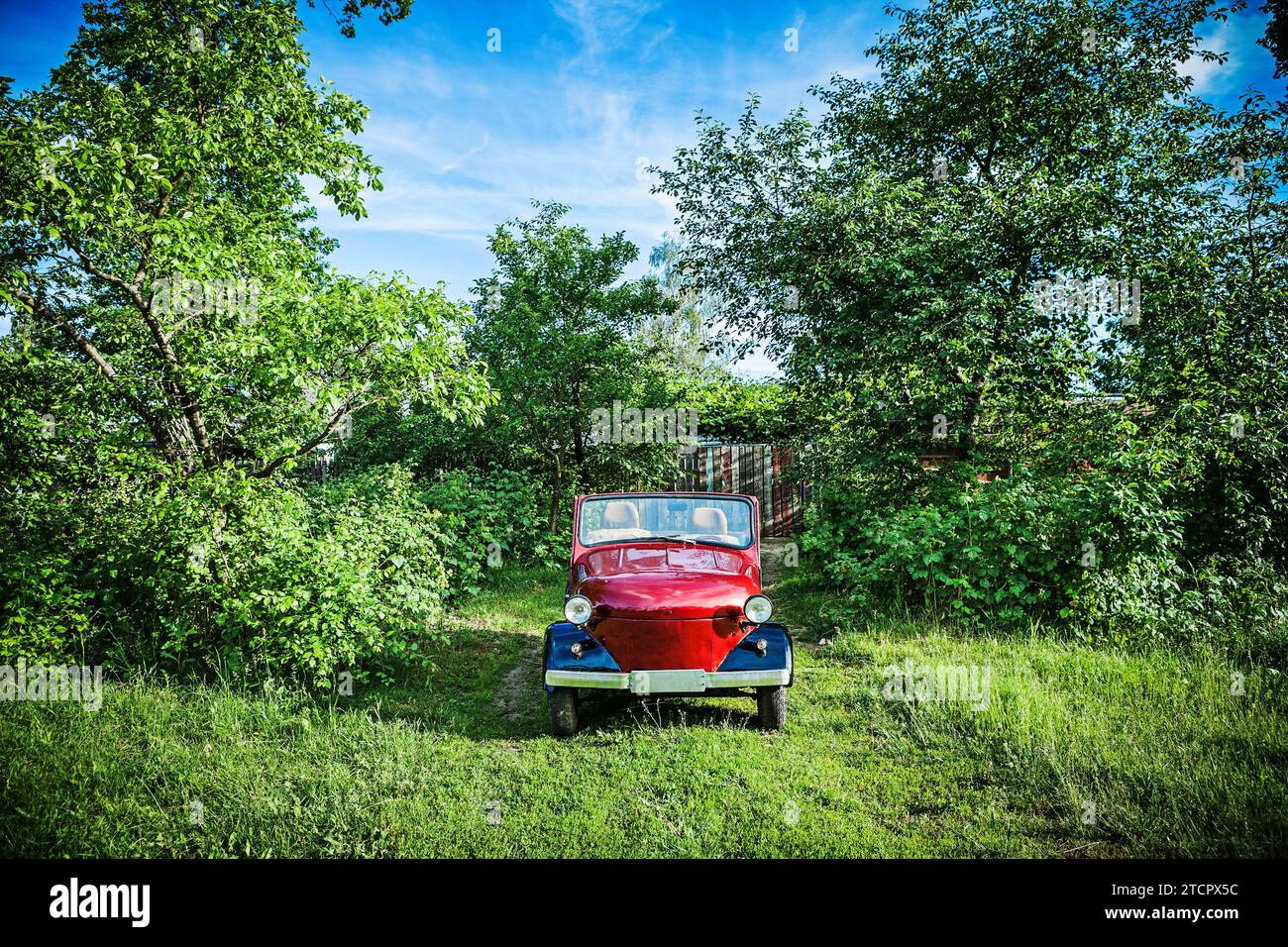 Little red retro car in green bushes Stock Photo - Alamy