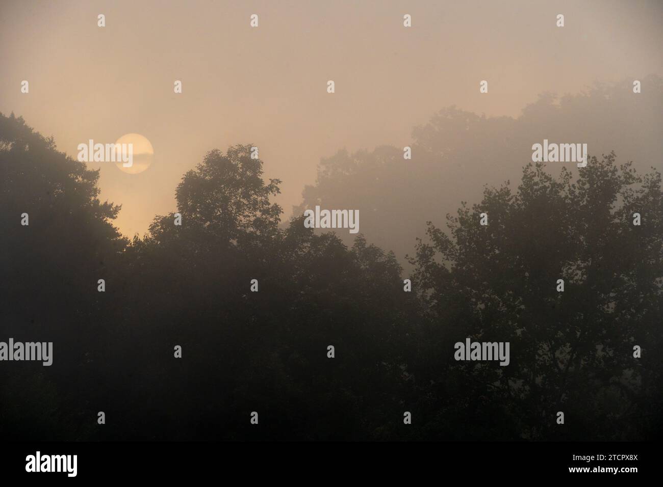 Lake Vesuvius Recreation Area at Wayne National Forest in Ohio Stock ...