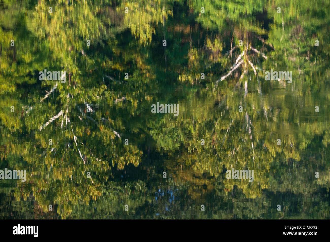 Lake Vesuvius Recreation Area at Wayne National Forest in Ohio Stock ...