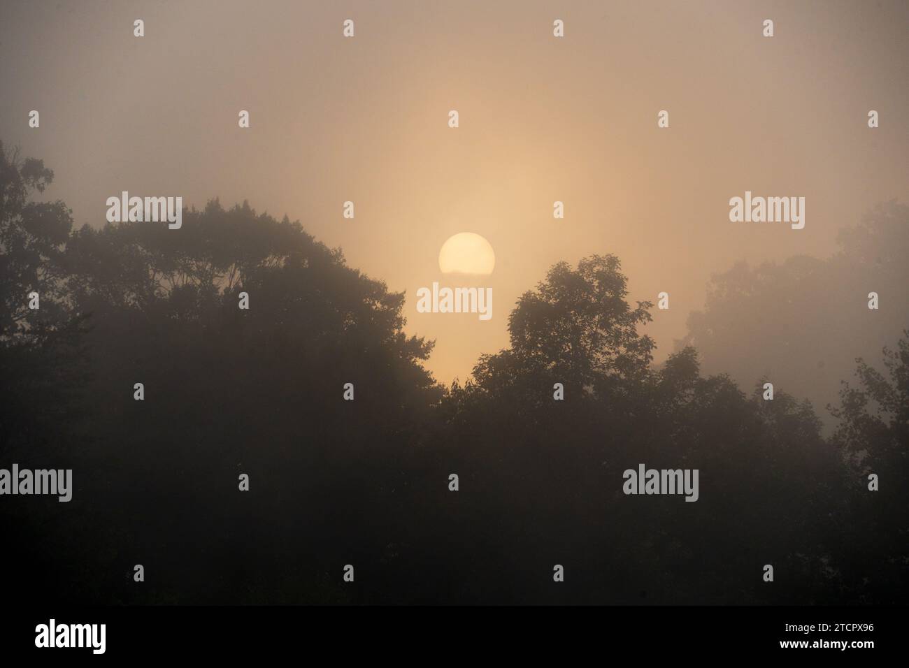 Lake Vesuvius Recreation Area at Wayne National Forest in Ohio Stock ...