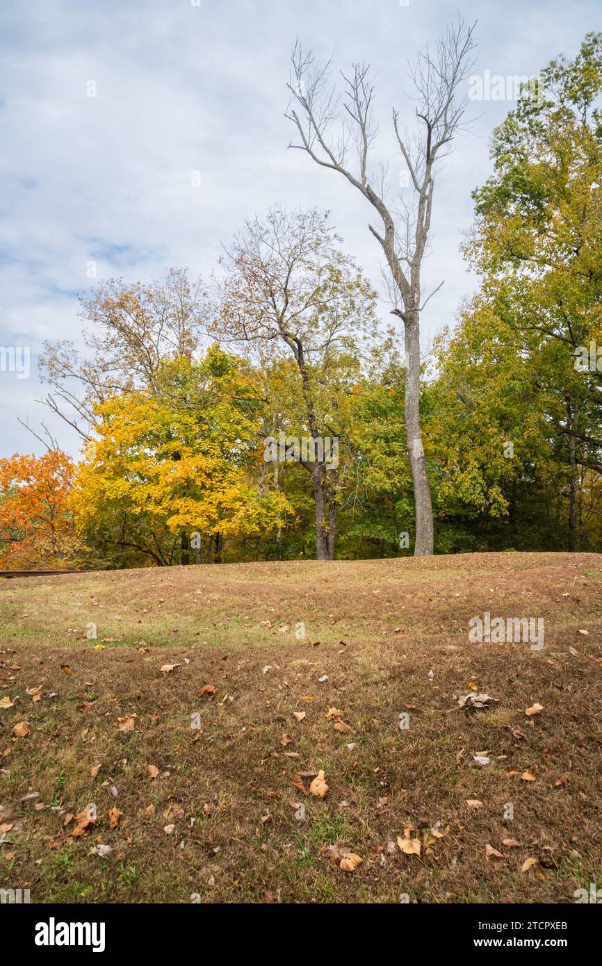 The Serpent Mound State Memorial, Effigy Mound in Peebles, Ohio Stock ...