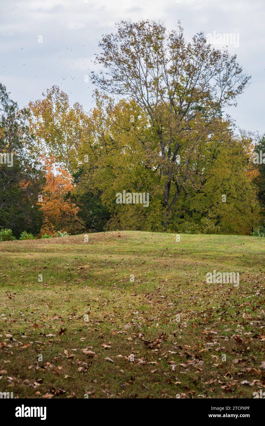 The Serpent Mound State Memorial, Effigy Mound in Peebles, Ohio Stock ...