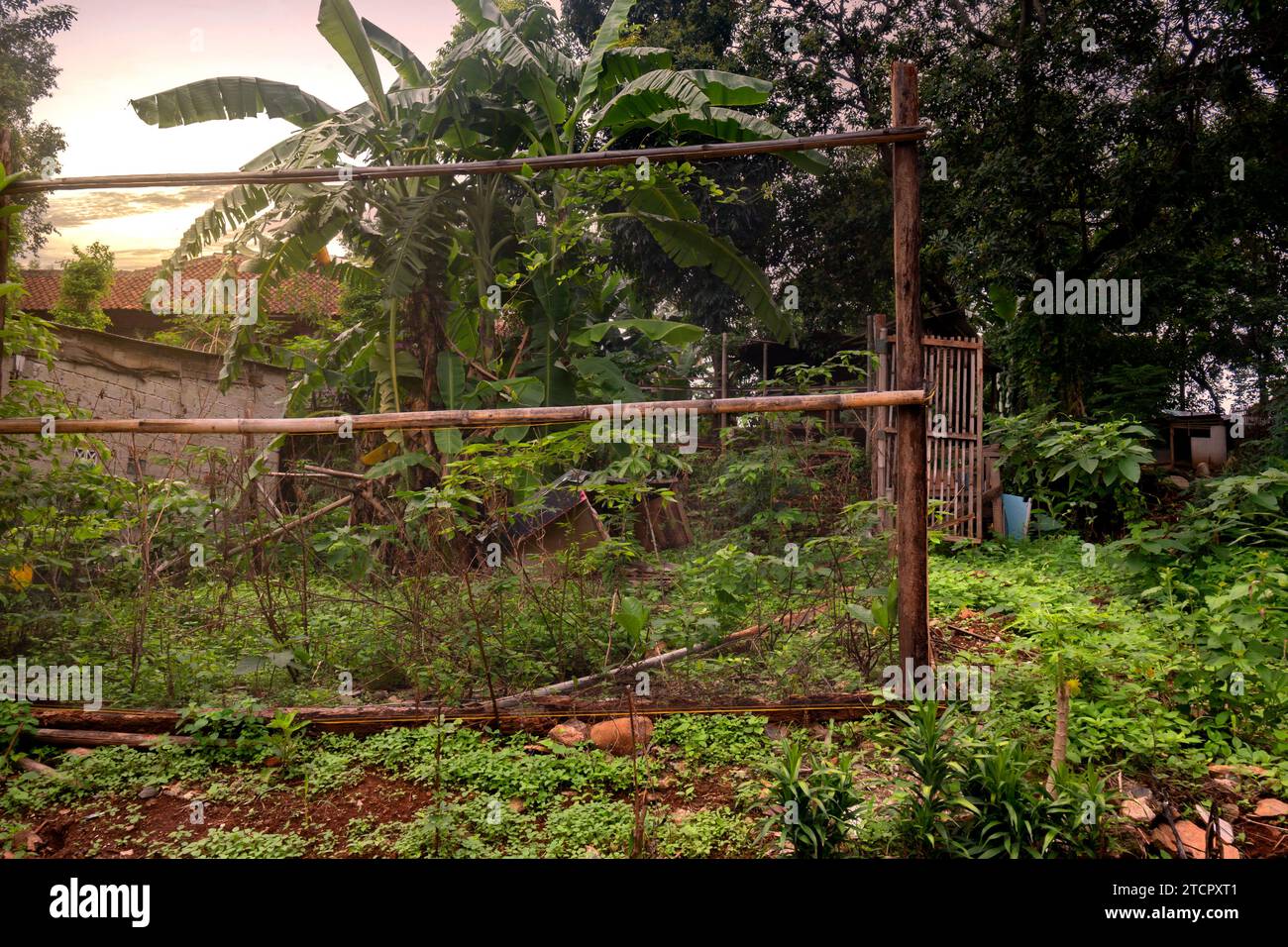 Rural lawn behind the house with a sunset scene background Stock Photo ...