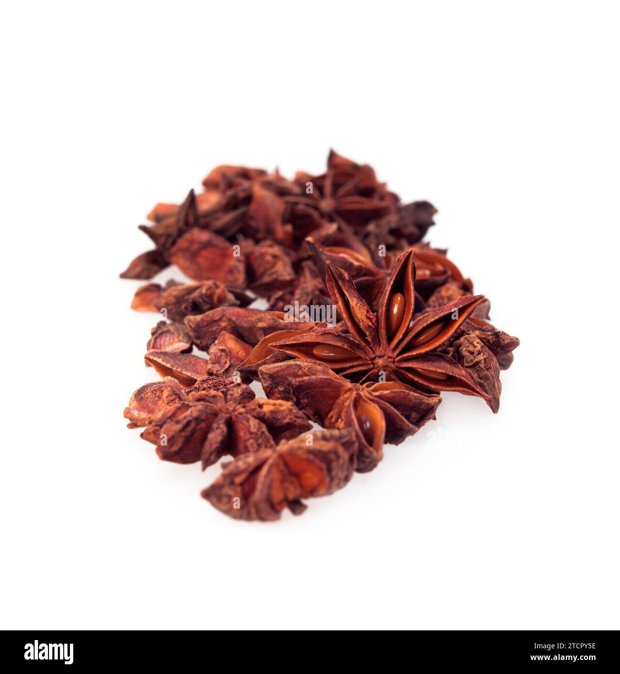 Dried anise star spice (illicium verum) isolated on white Stock Photo ...