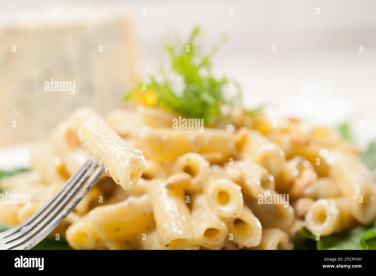 Italian traditional pasta penne gorgonzola and pine nuts Stock Photo ...