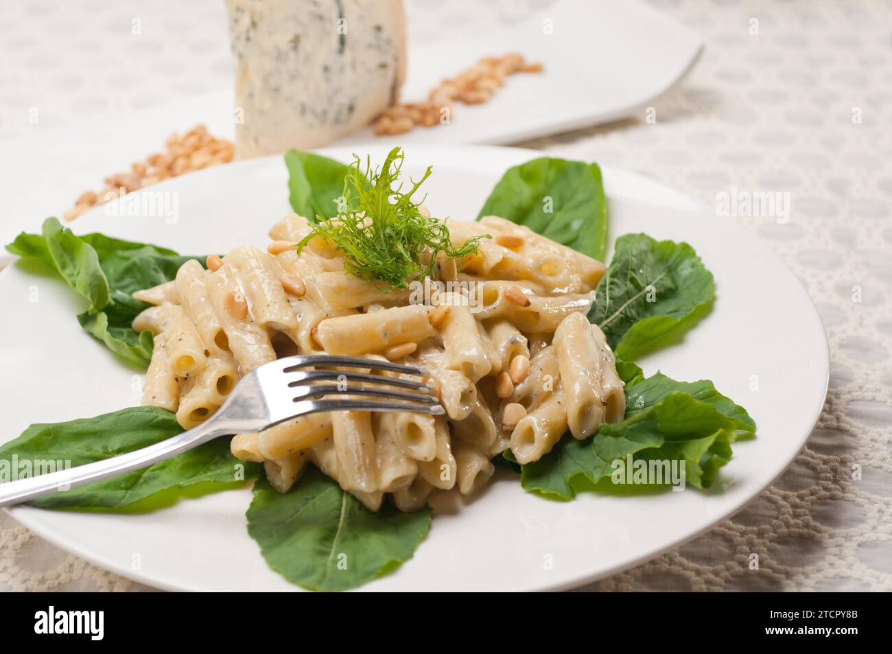 Italian traditional pasta penne gorgonzola and pine nuts Stock Photo ...