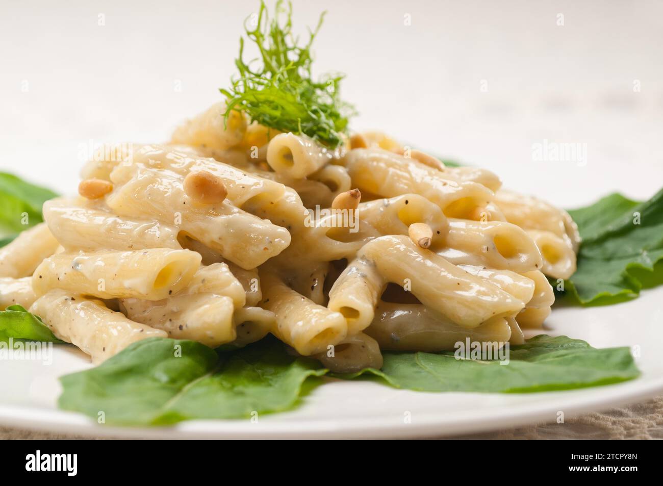 Italian traditional pasta penne gorgonzola and pine nuts Stock Photo ...