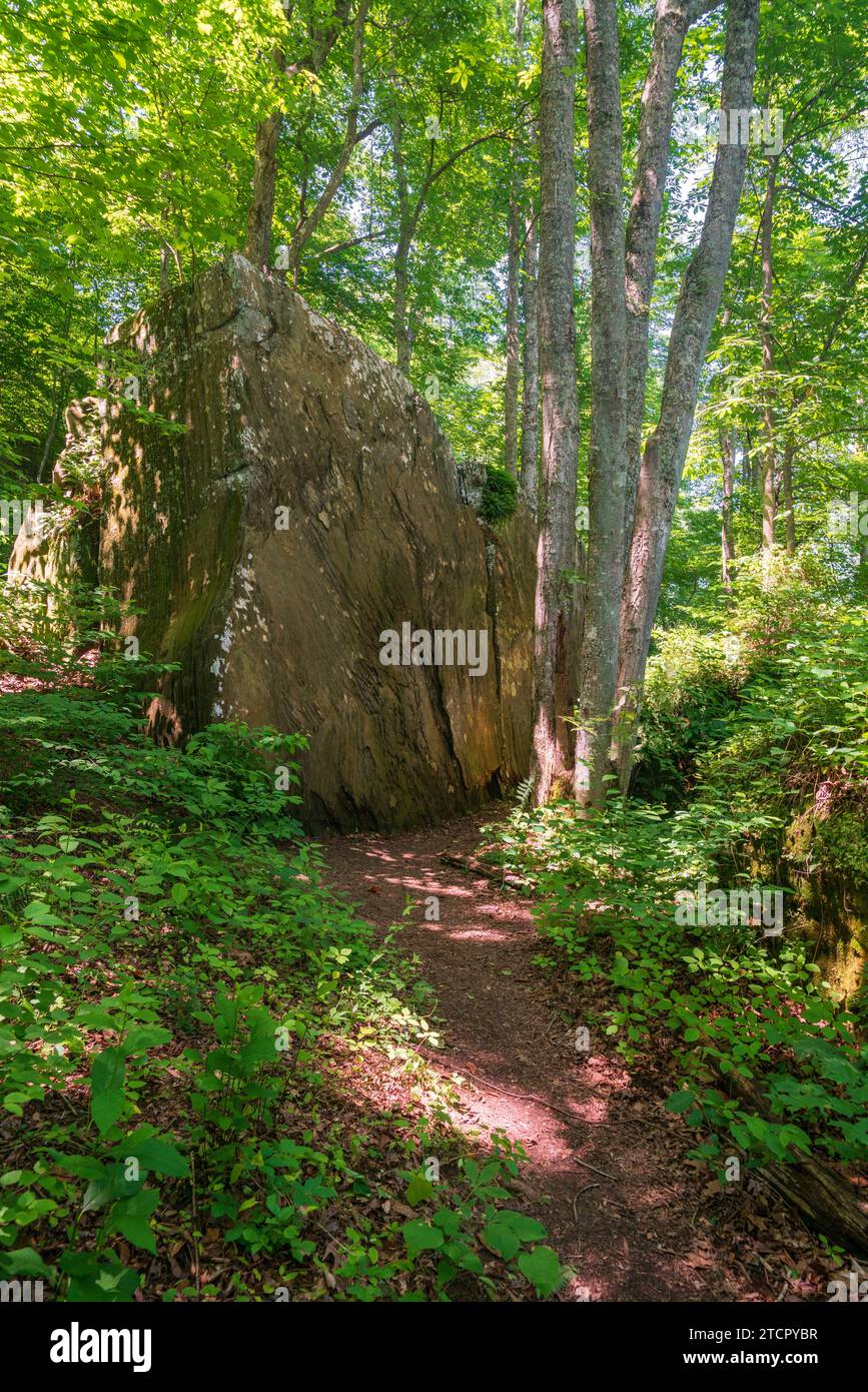 The Lake Vesuvius Trail at Wayne National Forest in Ohio Stock Photo ...