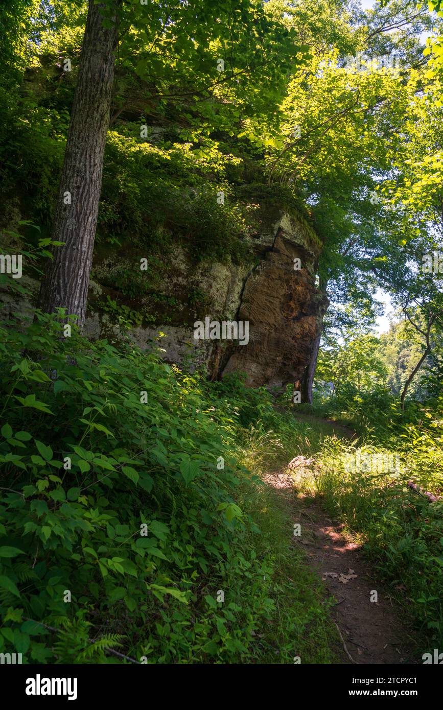 The Lake Vesuvius Trail at Wayne National Forest in Ohio Stock Photo ...