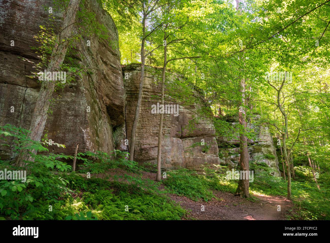 The Lake Vesuvius Trail at Wayne National Forest in Ohio Stock Photo ...