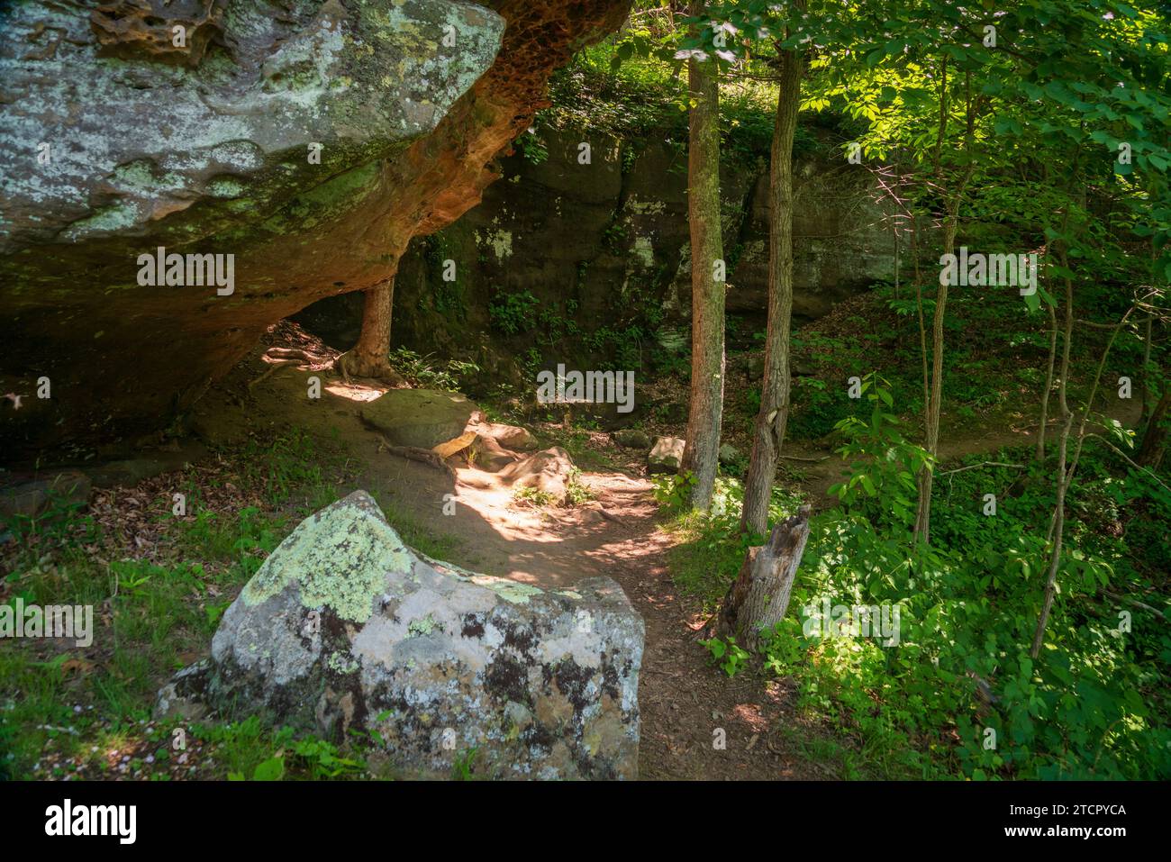 The Lake Vesuvius Trail at Wayne National Forest in Ohio Stock Photo ...