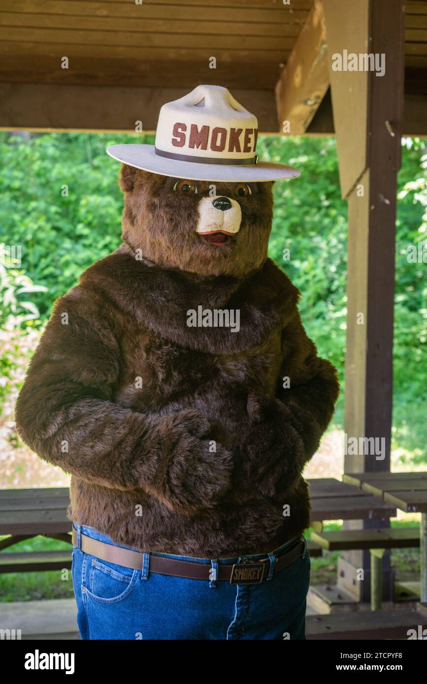 Smokey bear memorabilia hi-res stock photography and images - Alamy