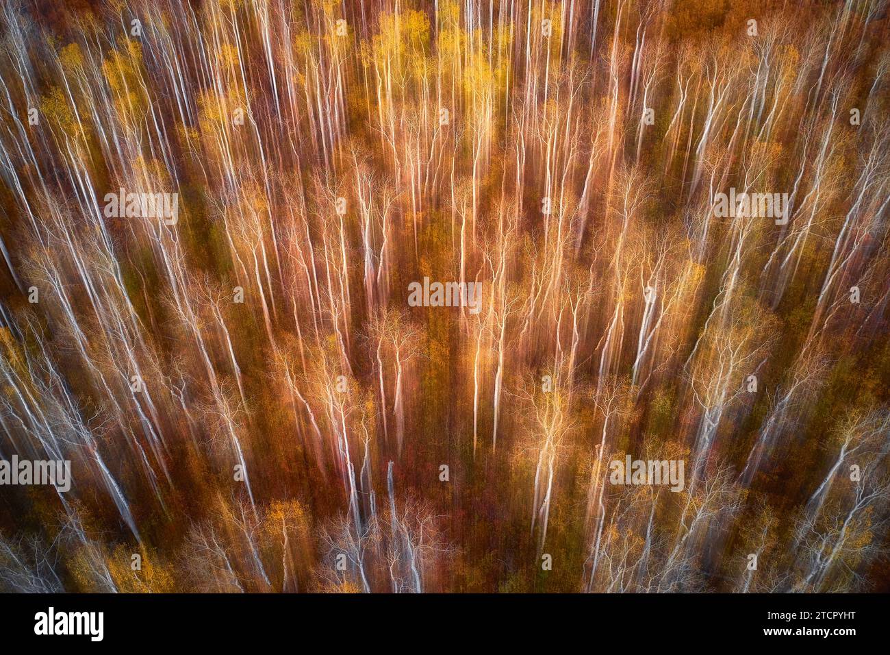 A high-resolution photograph of a scenic landscape featuring a vibrant ...