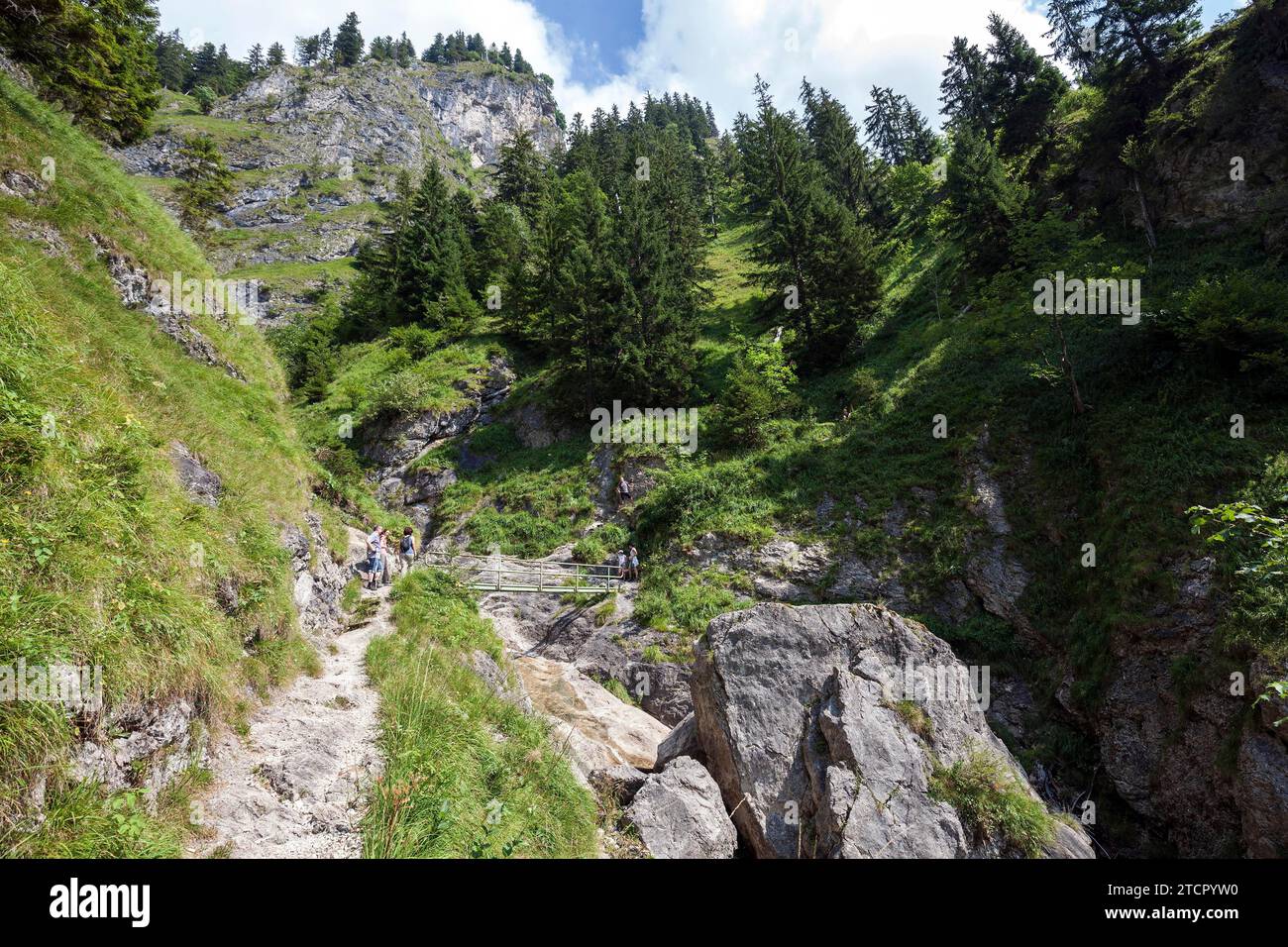 Hiker in Hirschbergtobel, Bad Hindelang, Oberallgaeu, Allgaeu, Bavaria ...
