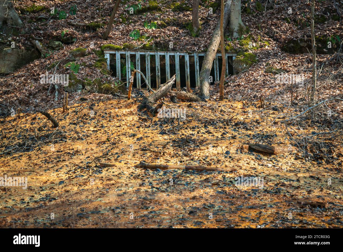 Coal damage assessment hi-res stock photography and images - Alamy