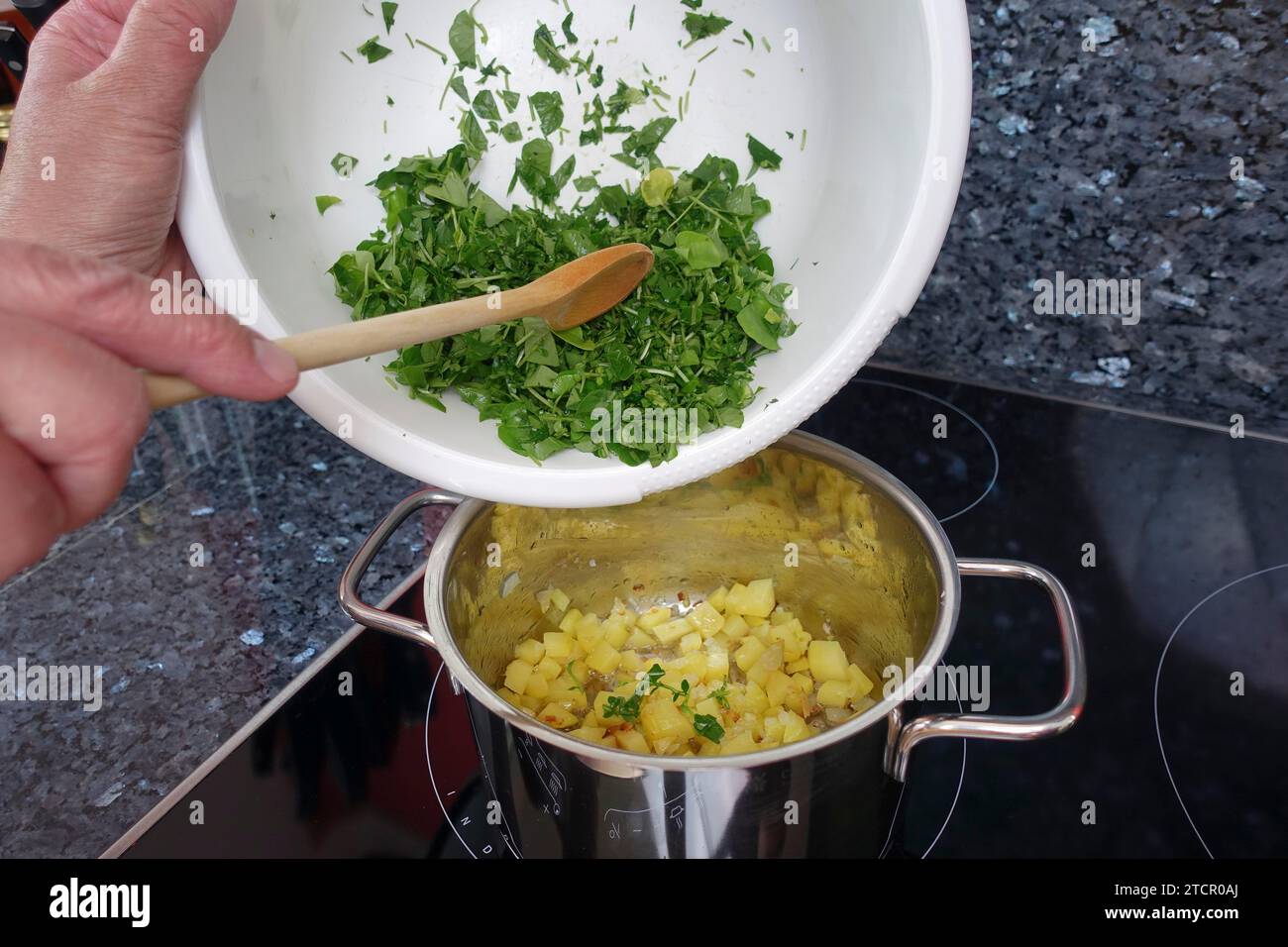 Preparation of a cress soup, fresh cress in a bowl, stirring paddle ...