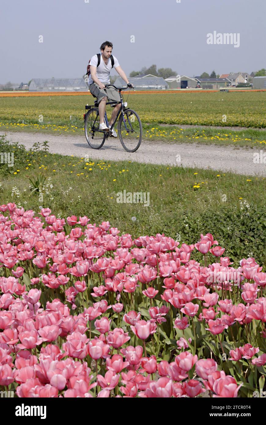 Lisse -Netherland (Holland) 21 April 2011 / Netherlands trade mark ...