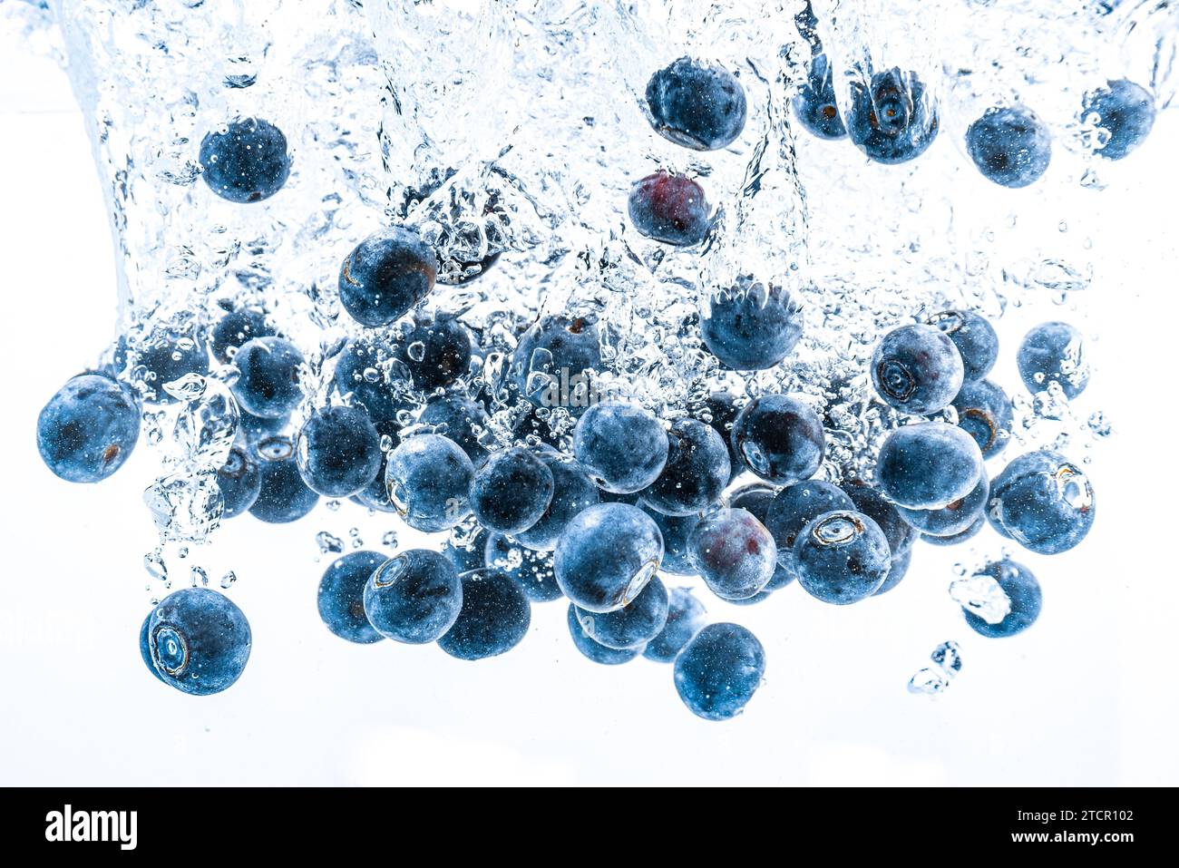 Fresh blueberries falling in water on white background. Fruits ...