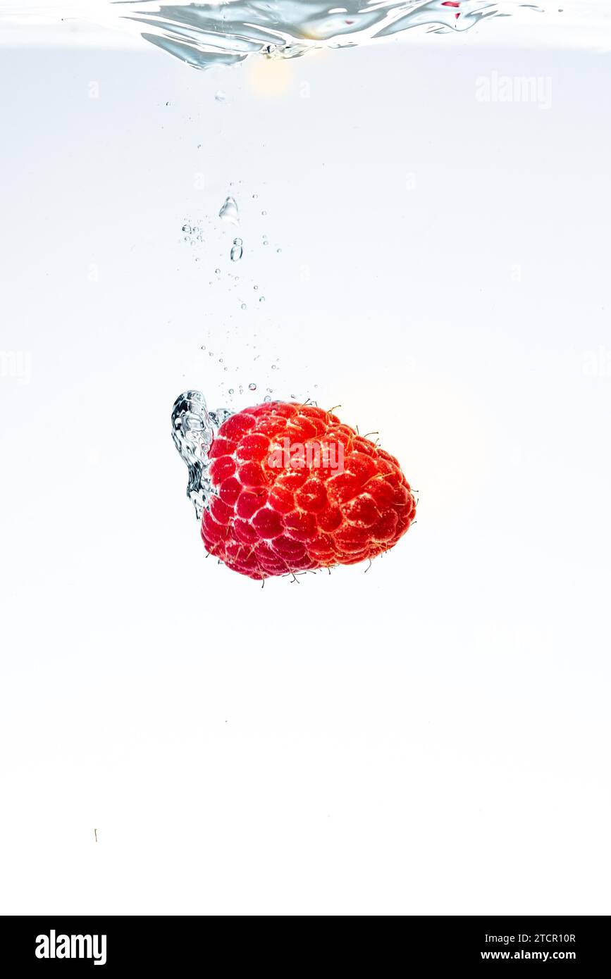 Raspberry splashing into crystal clear water with air bubbles sinking ...