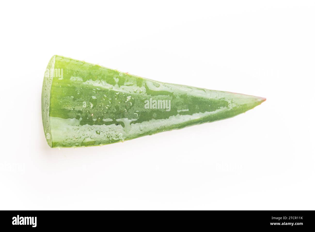 Cut aloe leaves on white background isolated Stock Photo - Alamy