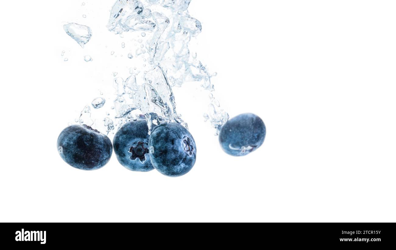 One Organic Blueberry sinking into water with air bubbles white ...