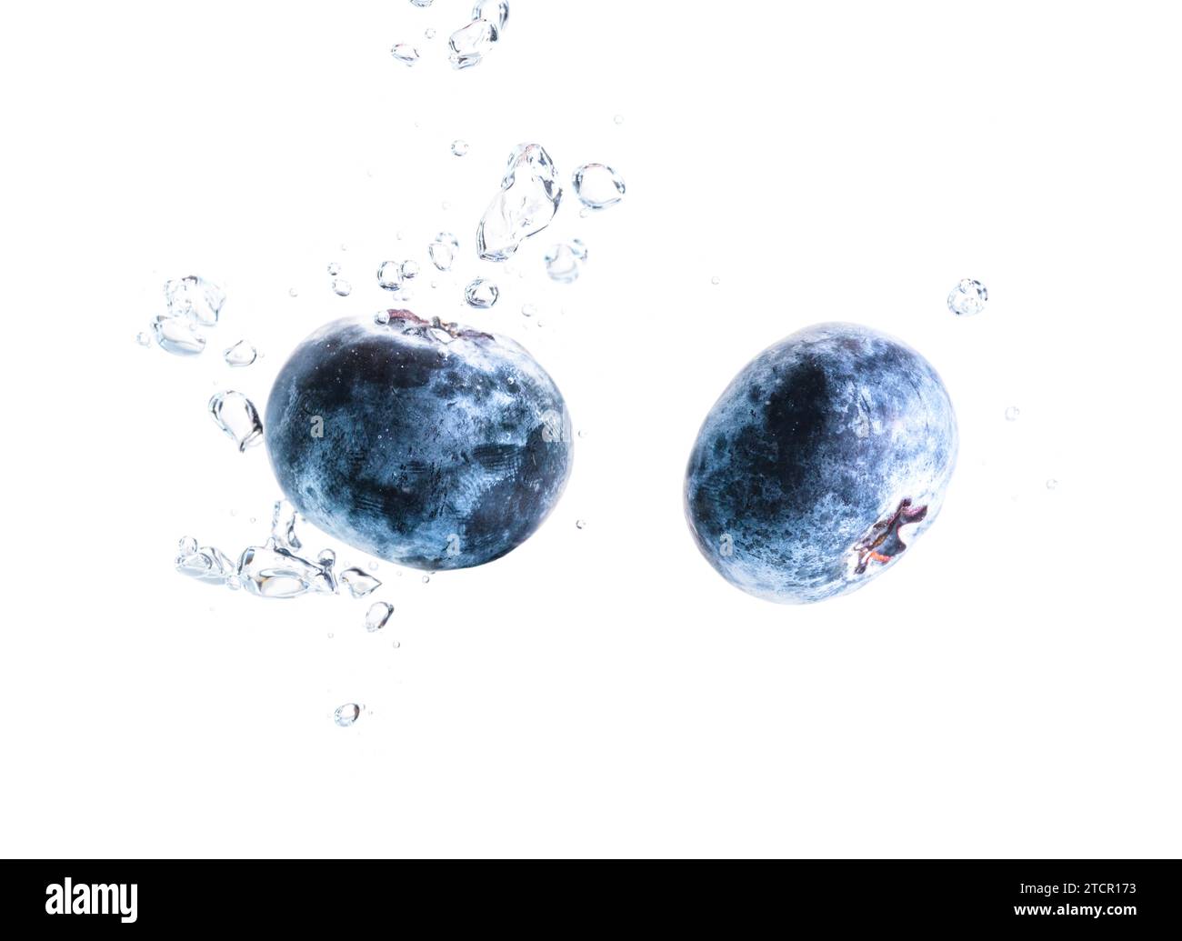 Two organic Blueberry sinking into water with air bubbles white ...