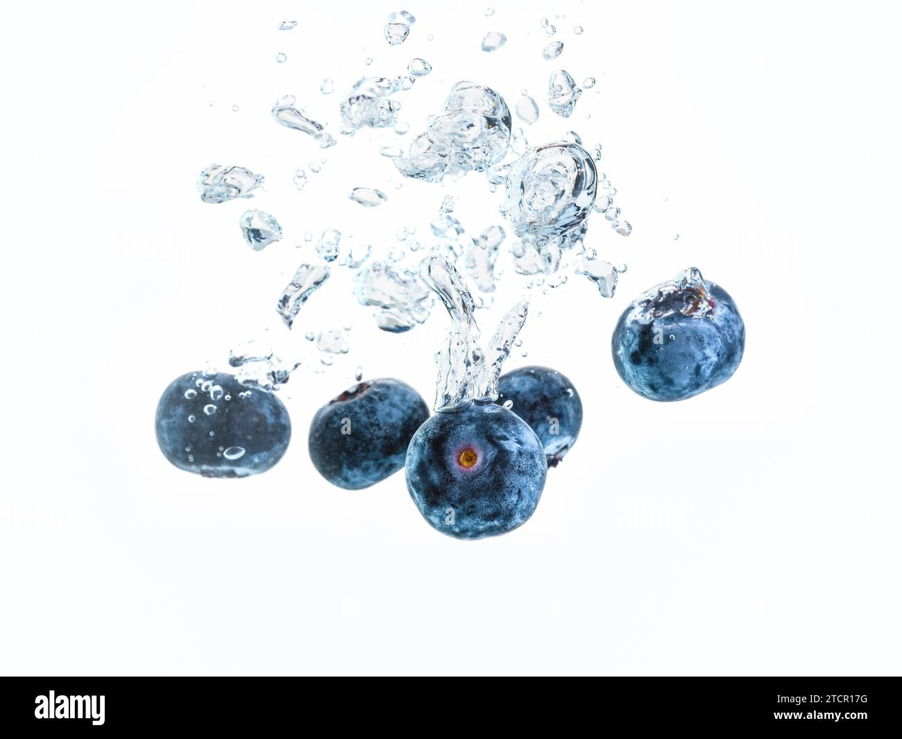One Organic Blueberry sinking into water with air bubbles white ...