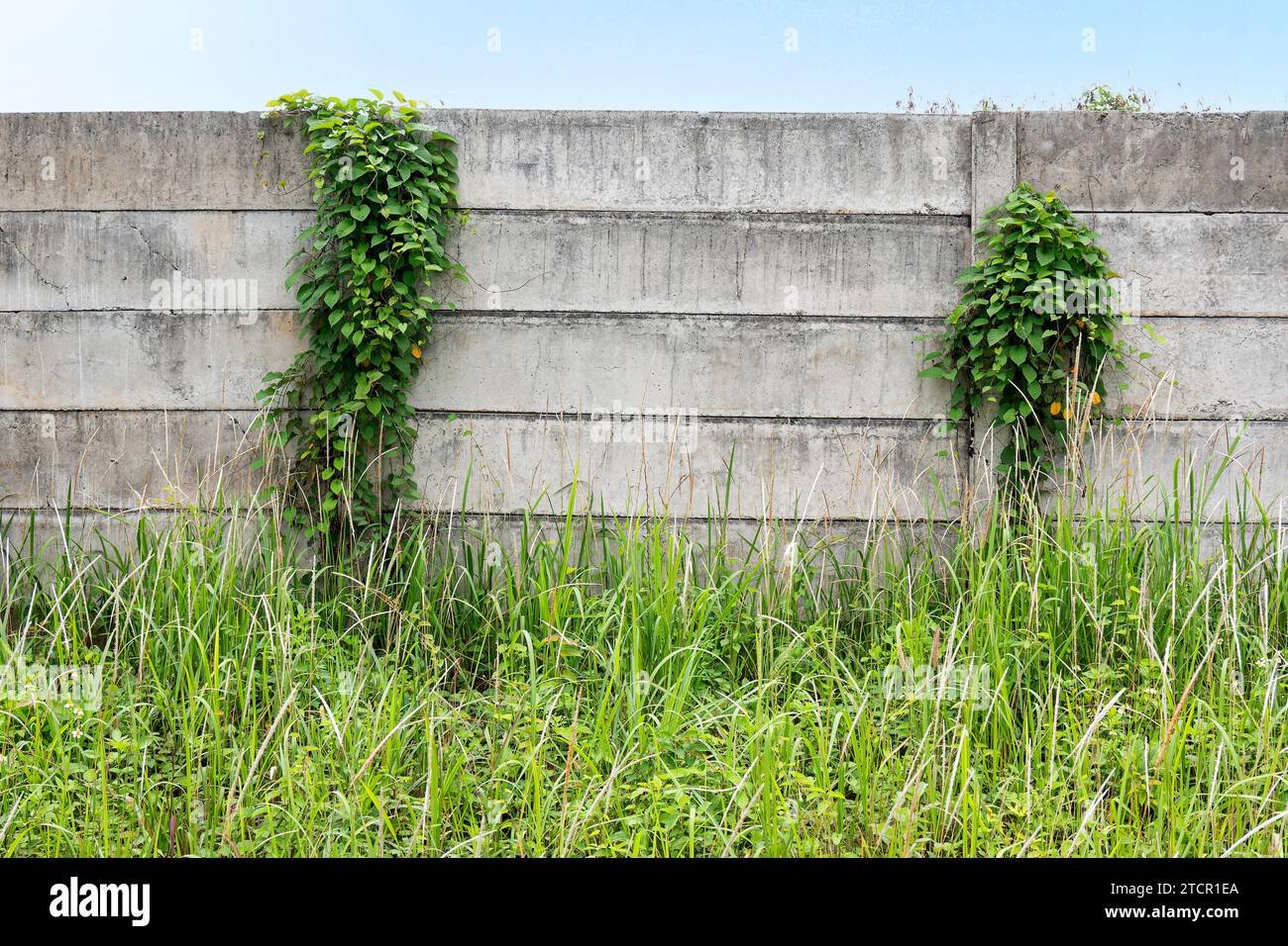 Concrete wall block on the field with a blue sky background Stock Photo ...