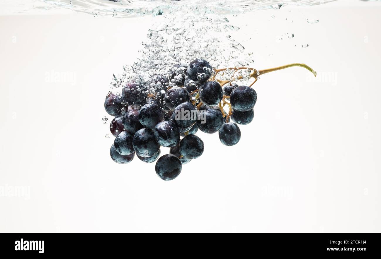 Bunch of blue grapes sinking underwater with splash. Grape fruit theme ...