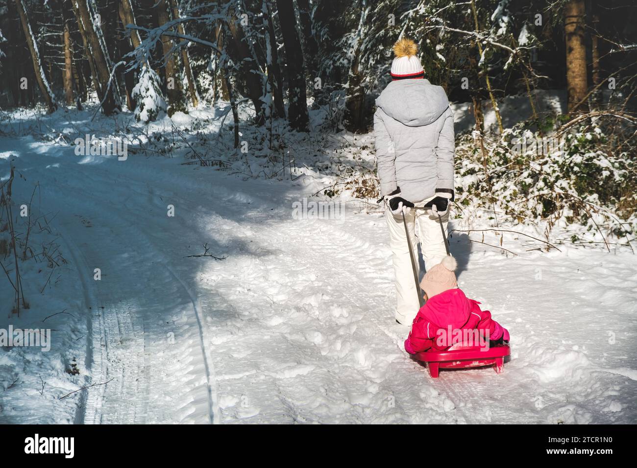 Mother pulling baby on a sled through winter forest. Snowy woods theme ...