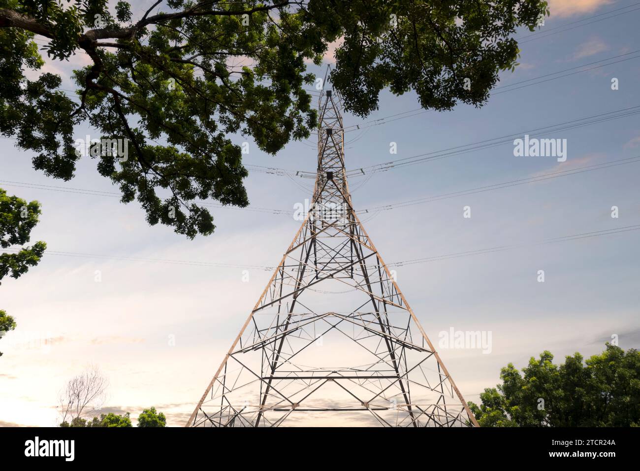 High voltage power lines tower with a sunset scene background Stock ...