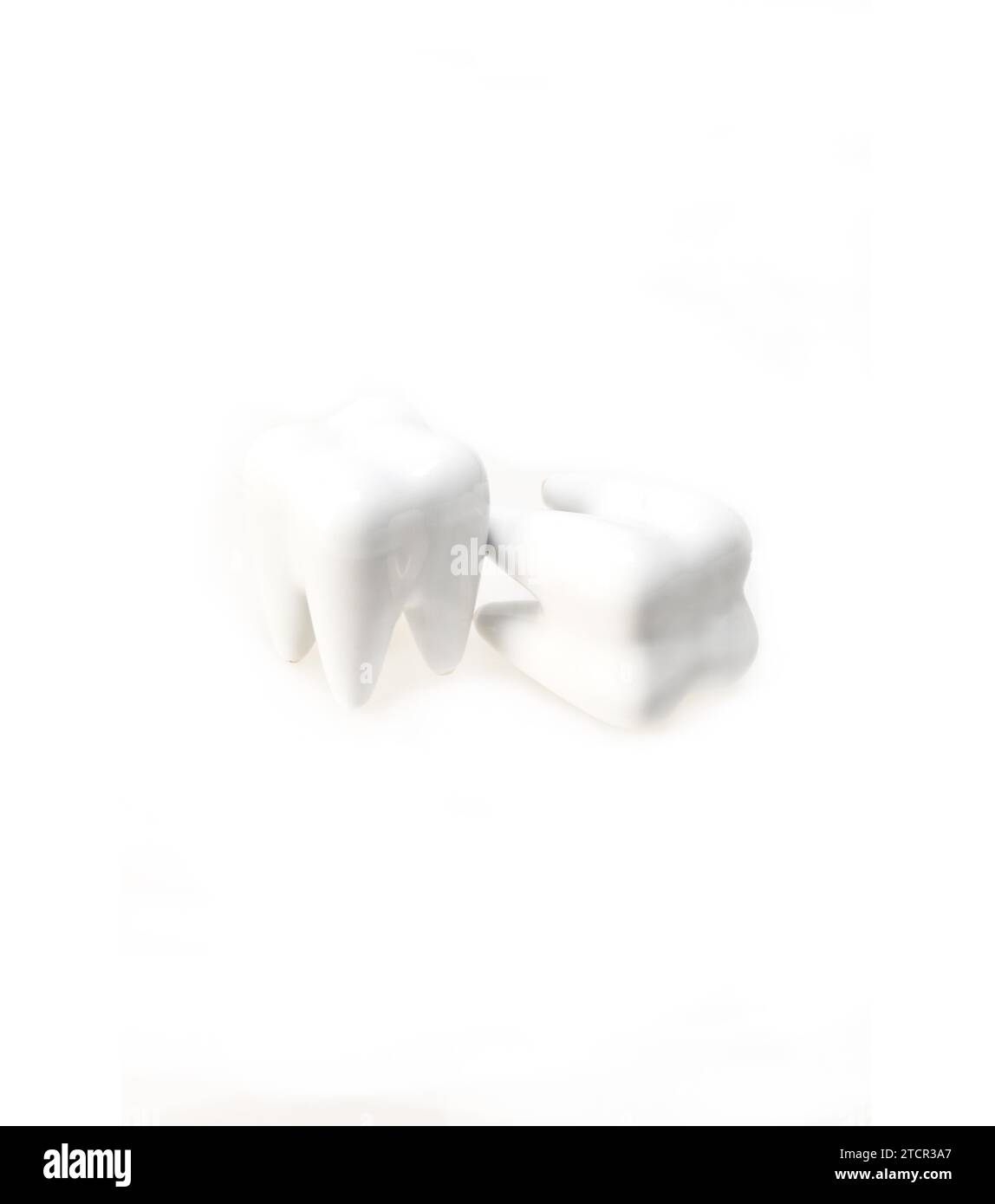 Two fake teeth closeup isolated on white Stock Photo - Alamy
